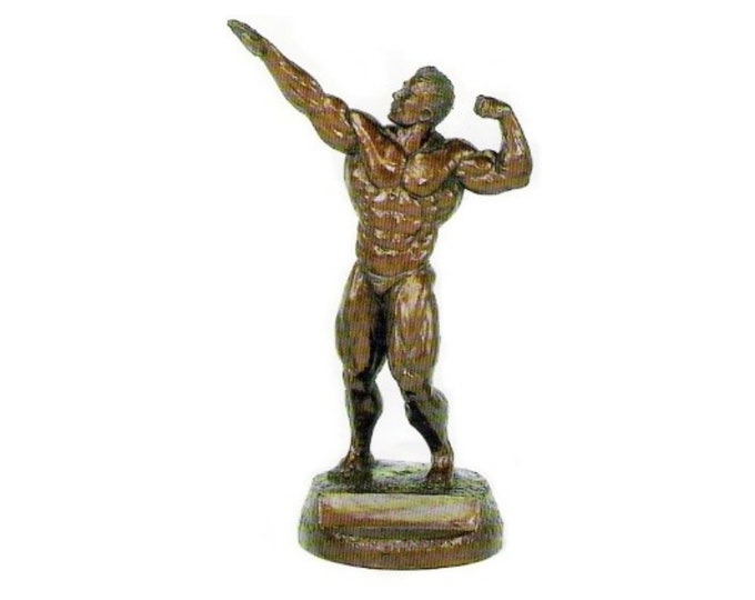 Arnold Schwarzenegger Figurine collectible Bodybuilder Gift Brass ...