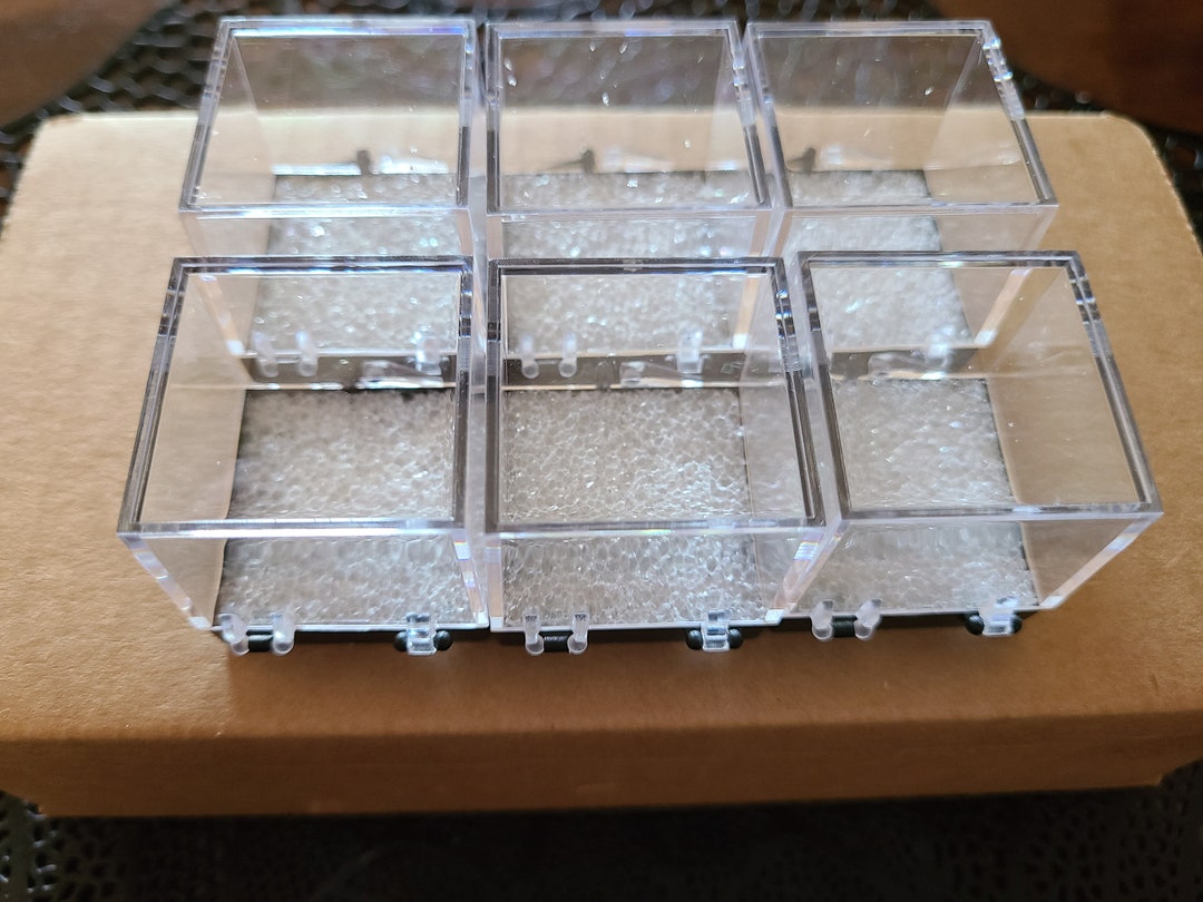 Set of 6 Perky Boxes With Inserts for Thumbnail Specimens - Etsy