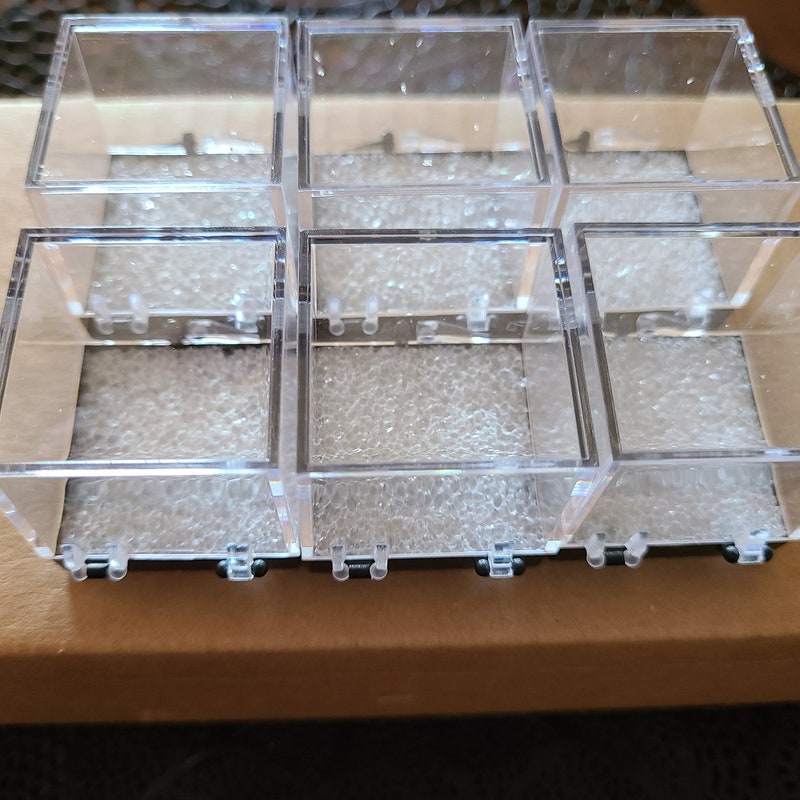 Seashell Display Box - Etsy