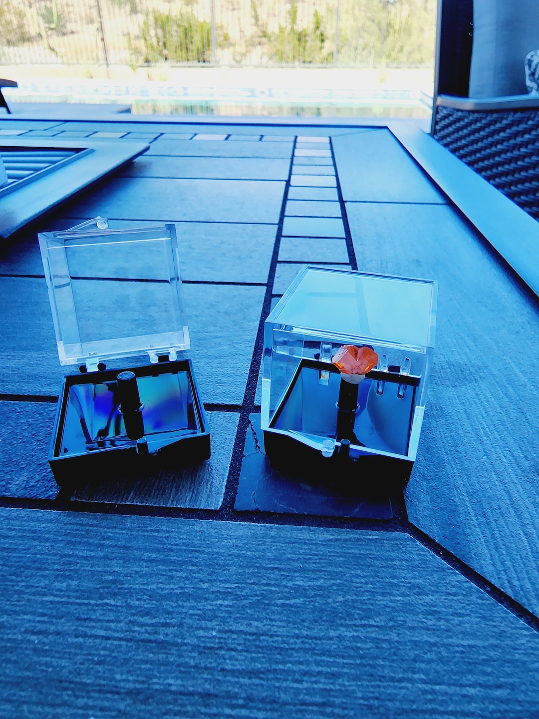 Set of Ten Perky Boxes With Black "perky Perch" Inserts - Etsy