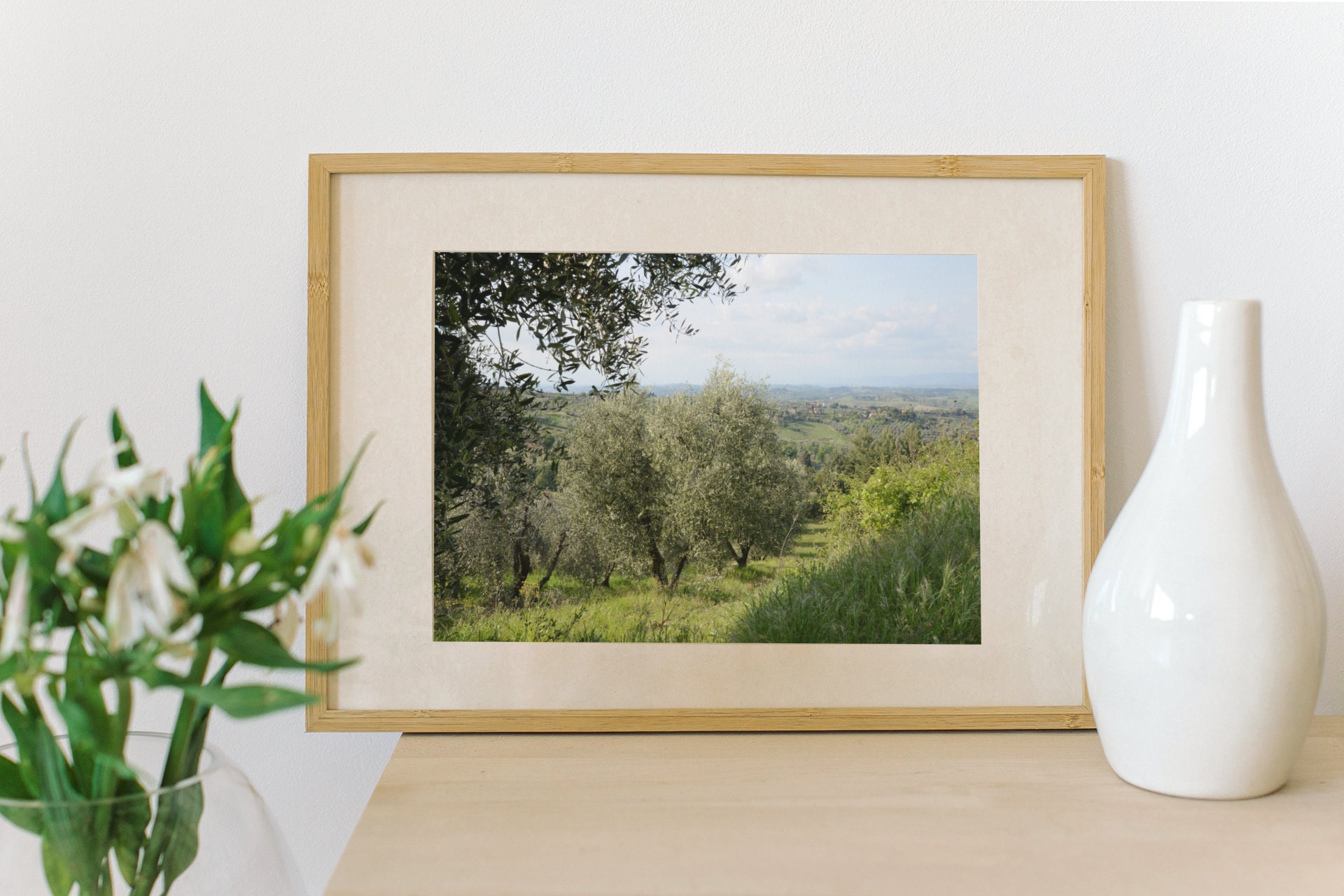 Fine Art Photograph of Olive Trees in the Tuscan Countryside #02 ...