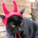Devil Hat Cat Hat Hats for Cats Pet Costume Horns Hat Dog - Etsy