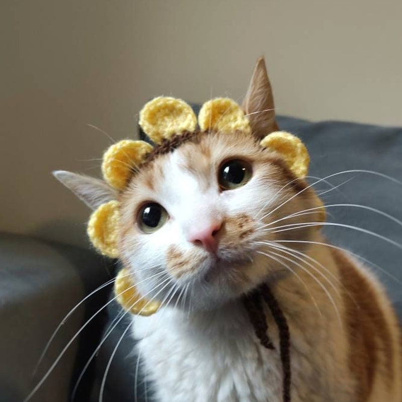 Flower Cat Hat - Etsy