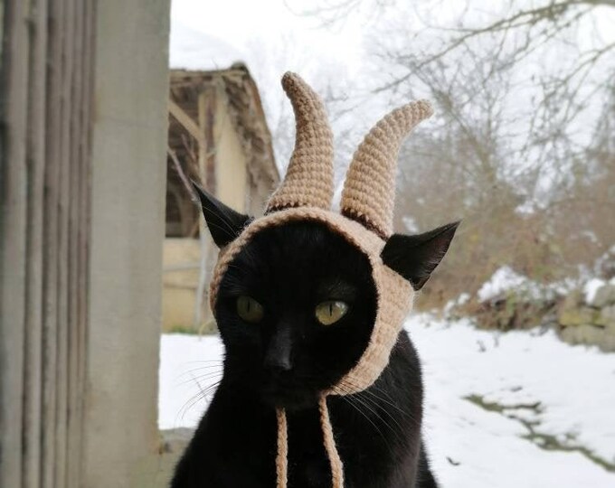 Cat Hat Hats for Cats Cat Accessories Goat Hat Horns Hat - Etsy