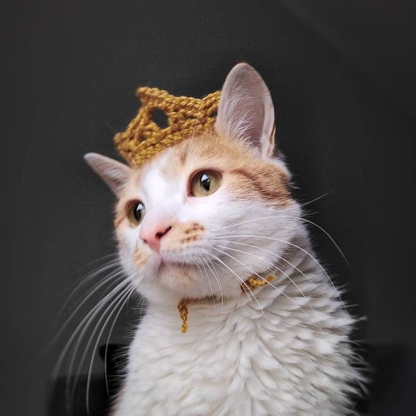 Cat Crown - Etsy