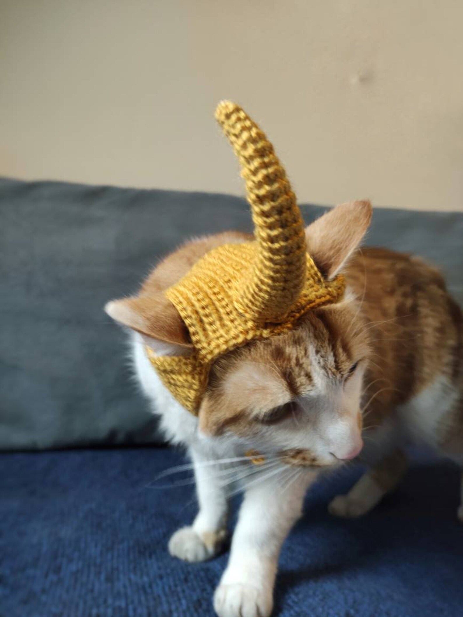 Helmet for Cat Cat Hat Cat Helmet Pet Costume Pet Costume - Etsy