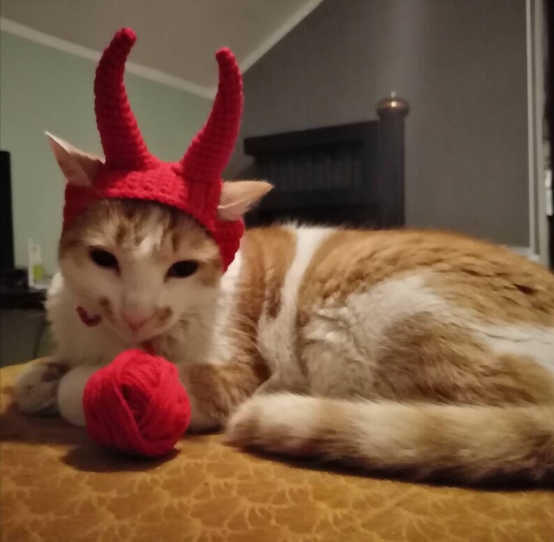 Devil Hat Cat Hat Hats for Cats Pet Costume Horns Hat Dog - Etsy