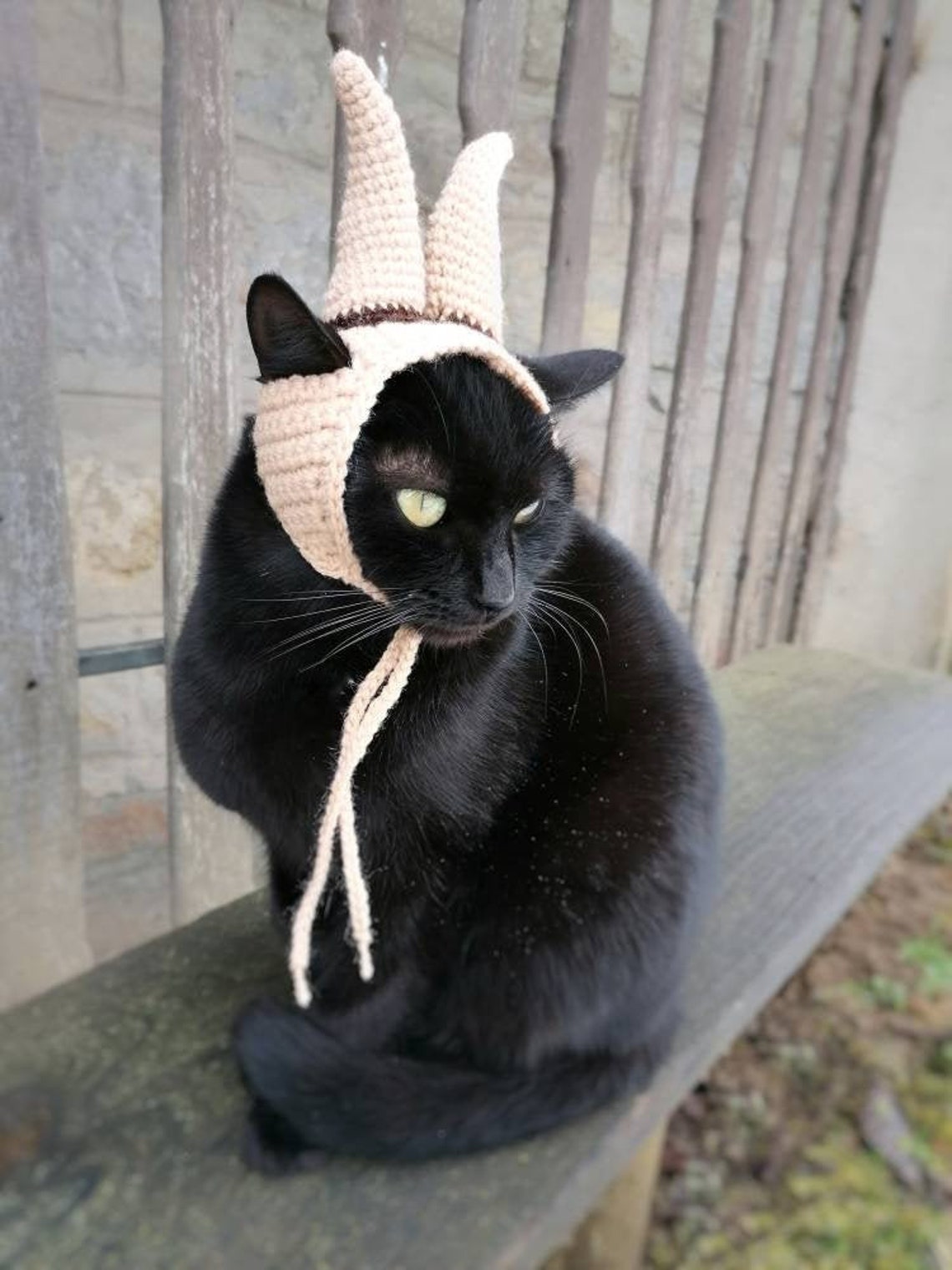 Cat Hat Hats for Cats Cat Accessories Goat Hat Horns Hat - Etsy