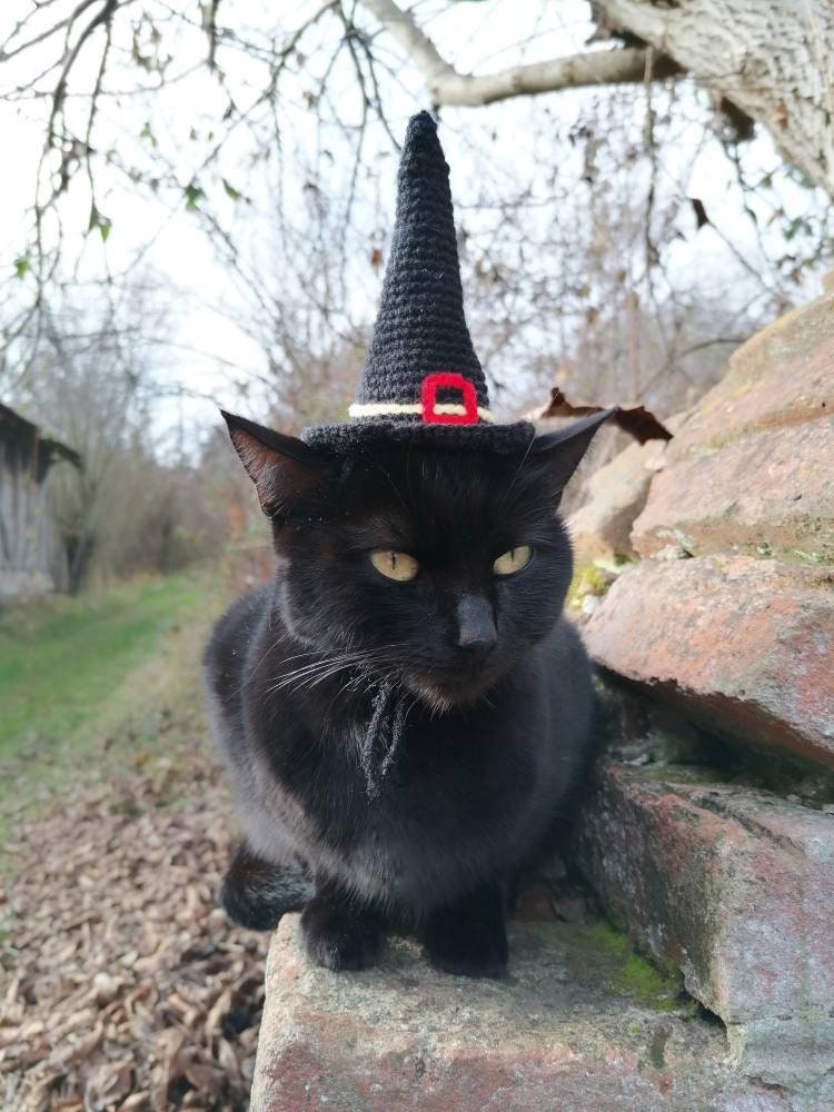 Witch Hat Witch Cat Cat Accessories Kitten Hat Pet - Etsy