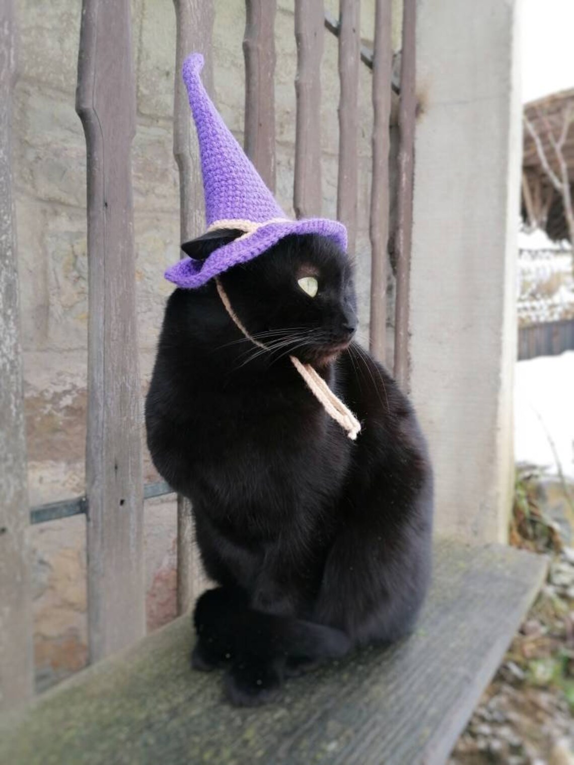 Witch hat Witch hat for cat Halloween hat for cat Cat hat | Etsy