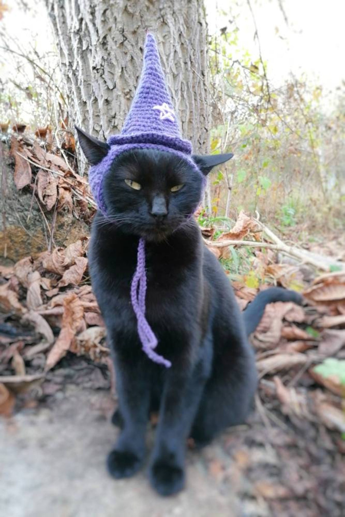Purple Wizard Hat Cat Hat Hats for Cats Pet Costume Dog - Etsy