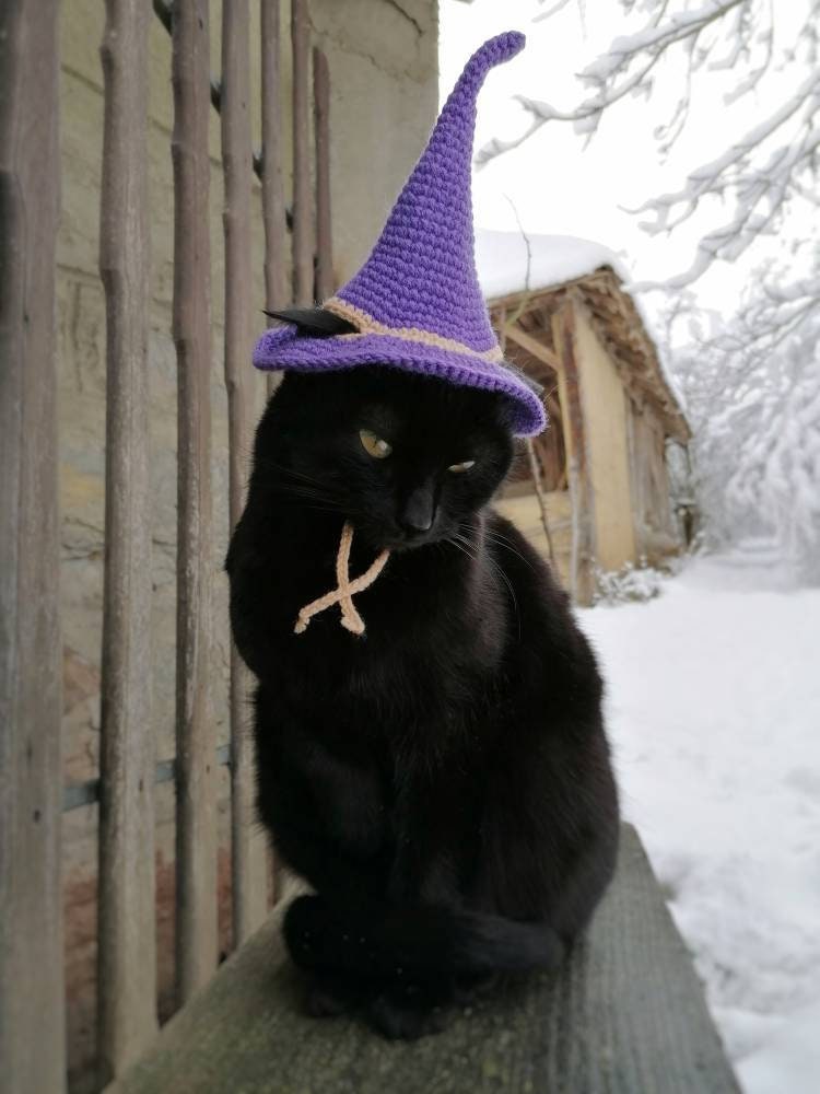Witch hat Witch hat for cat Halloween hat for cat Cat hat | Etsy
