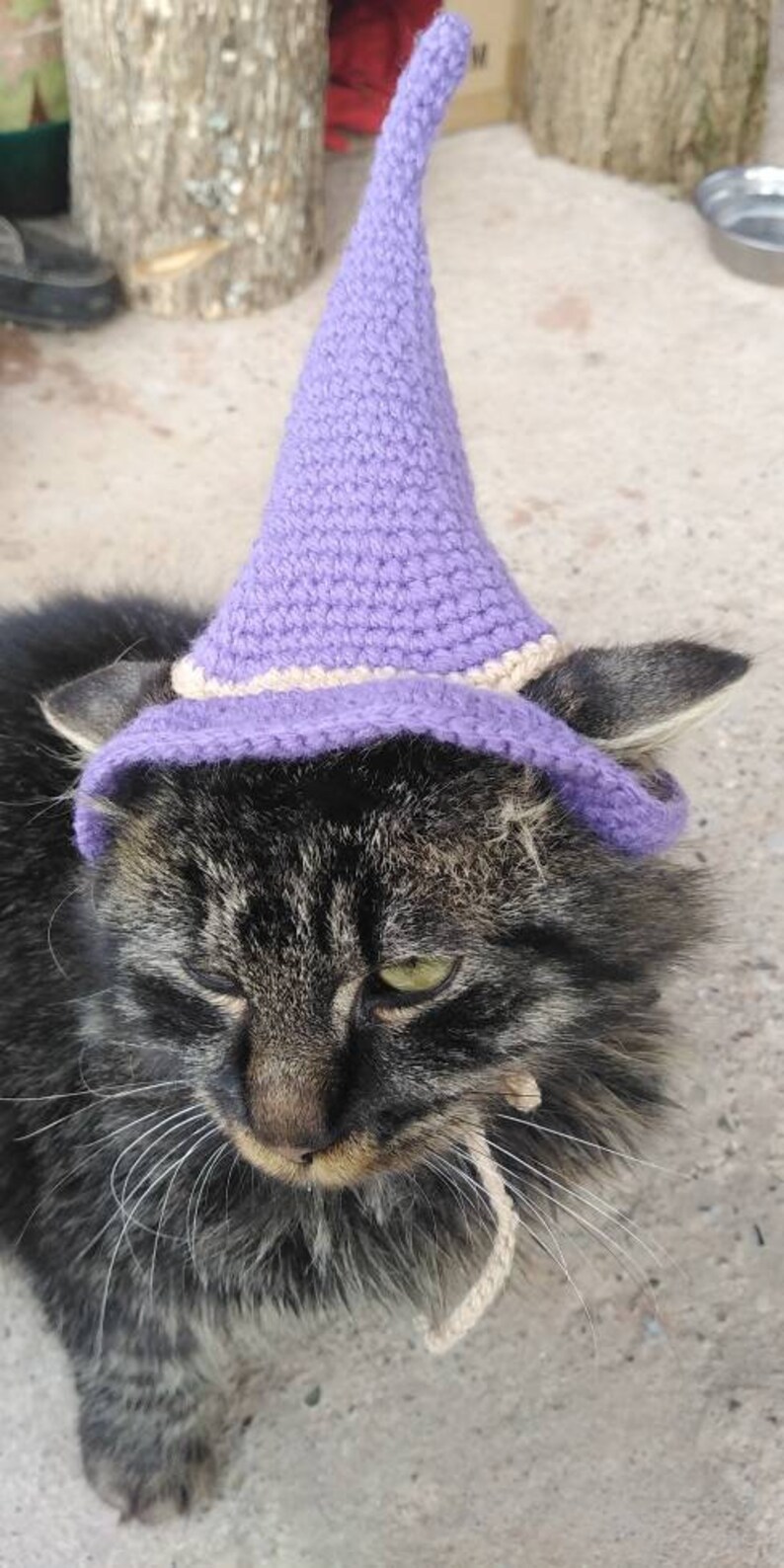 Witch hat Witch hat for cat Halloween hat for cat Cat hat | Etsy