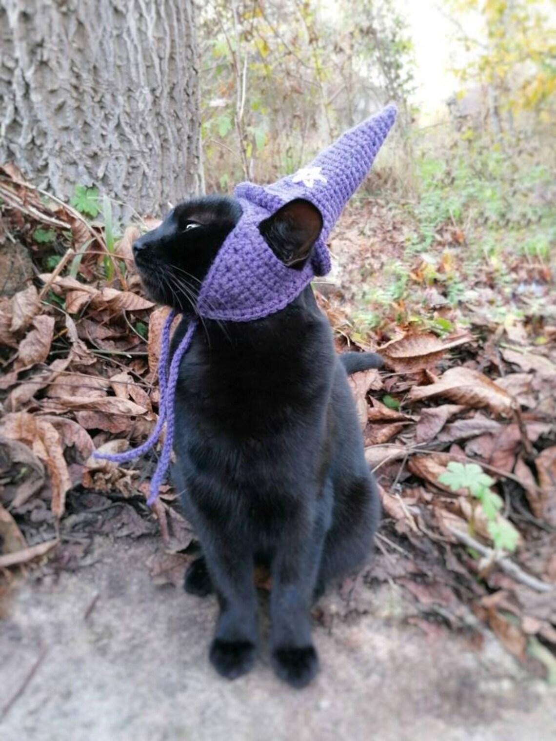 Purple Wizard Hat Cat Hat Hats for Cats Pet Costume Dog - Etsy