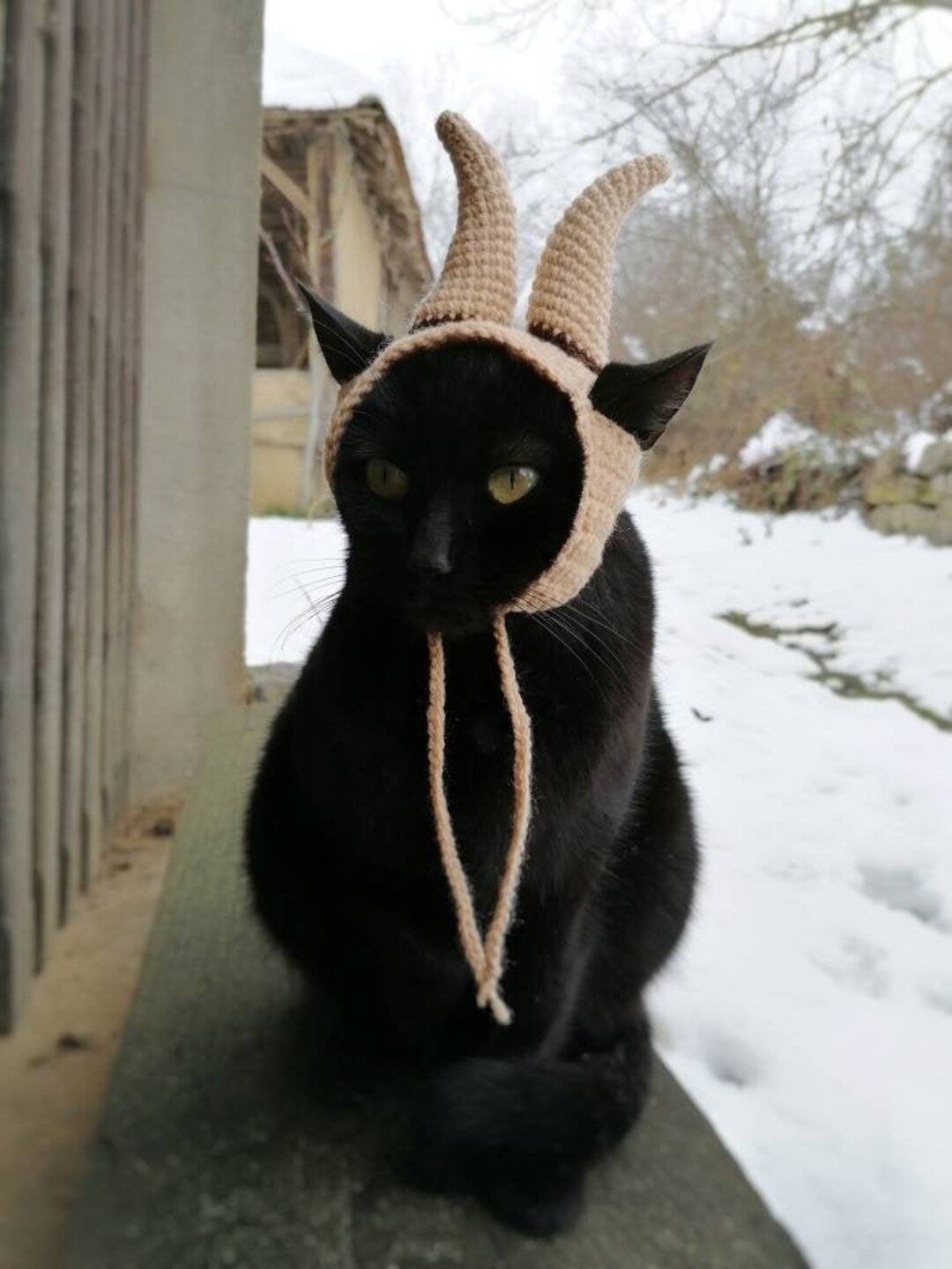 Cat Hat, Hats for Cats, Cat Accessories, Goat Hat, Horns Hat, Kitty ...