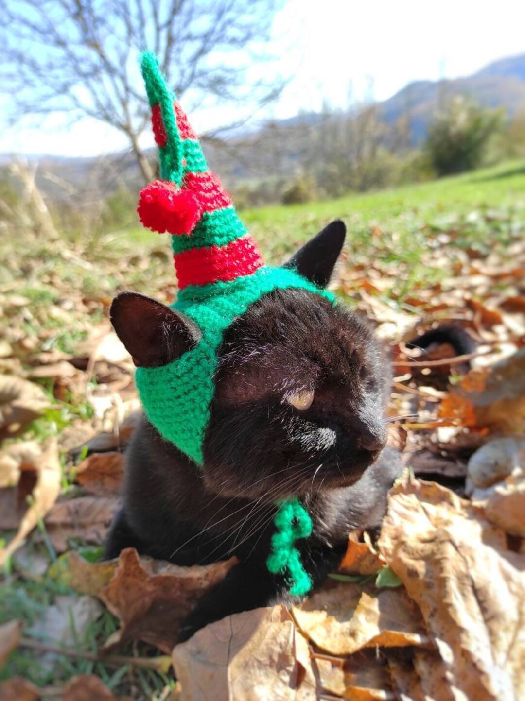 Elf Hat Elf Cat Hat Hat for Cat Cat Hat Pet Costume Pet - Etsy