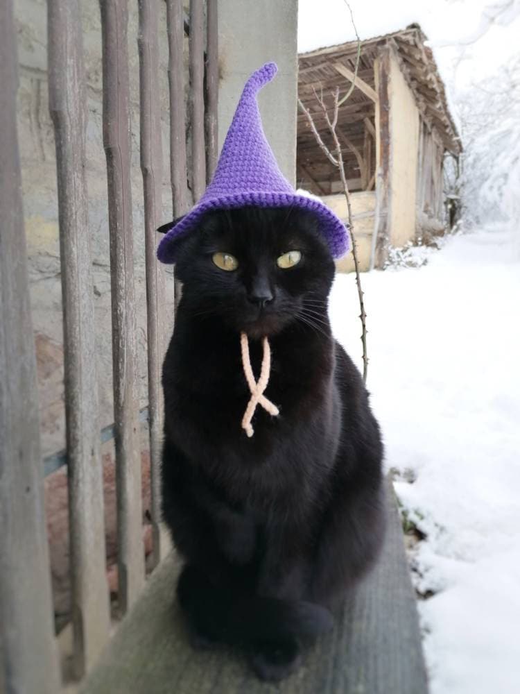 Witch hat Witch hat for cat Halloween hat for cat Cat hat | Etsy