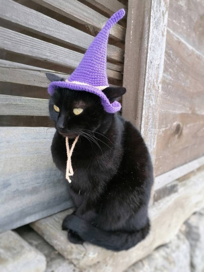 Witch hat Witch hat for cat Halloween hat for cat Cat hat | Etsy