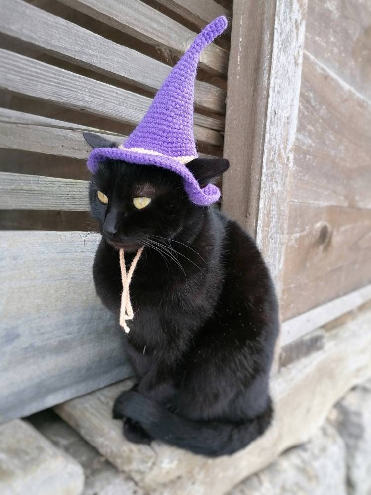 Witch hat Witch hat for cat Halloween hat for cat Cat hat | Etsy