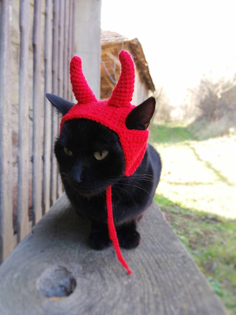 Devil Hat Cat Hat Hats for Cats Pet Costume Horns Hat Dog - Etsy