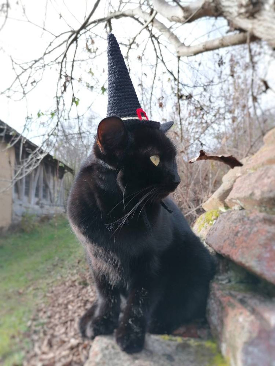 Witch Hat Witch Cat Cat Accessories Kitten Hat Pet | Etsy