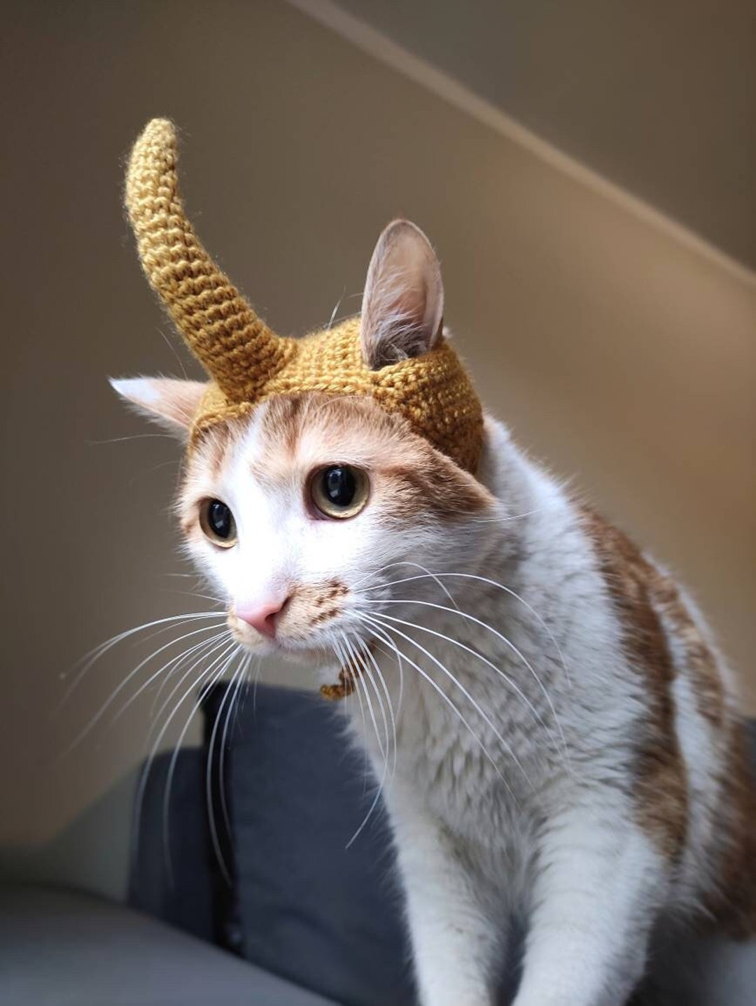 Helmet for Cat Cat Hat Cat Helmet Pet Costume Pet Costume - Etsy