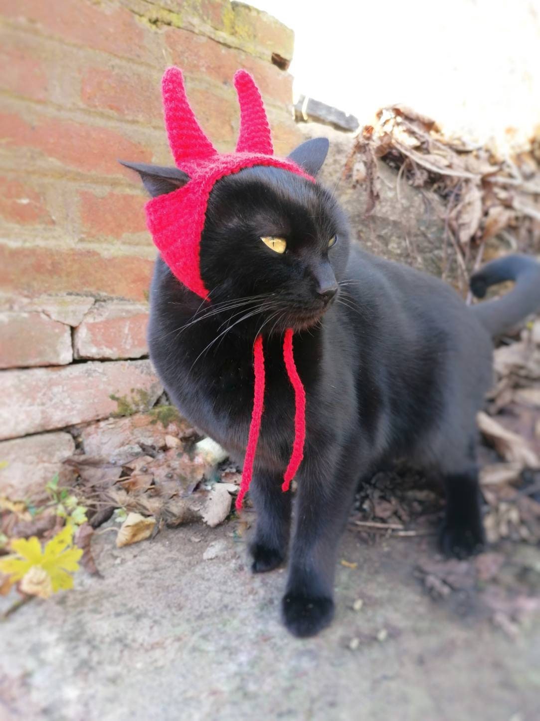 Devil Hat Cat Hat Hats for Cats Pet Costume Horns Hat Dog | Etsy