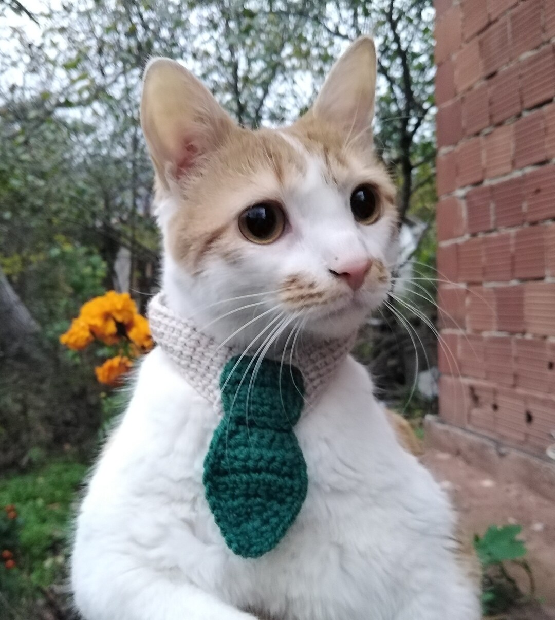 Scarf for Cat, Kitten Accessories, Cat Scarf, Kitten Accessories ...