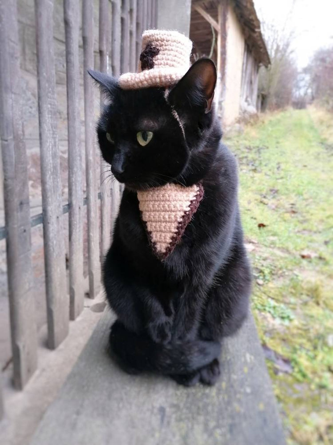 Meowdy Hat Cat Hat Hats for Cats Pet Costume Howdy Cat - Etsy