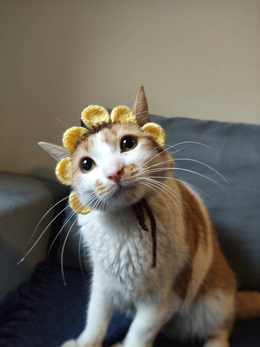 Sunflower Cat Hat, Sunflower Hat, Cat Outfit, Cat Hat, Hat for Cat, Pet ...