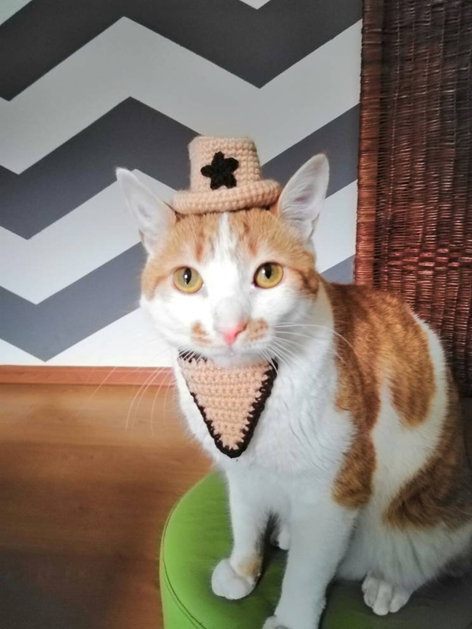 Meowdy hat Cat hat Hats for cats Pet costume Howdy cat | Etsy