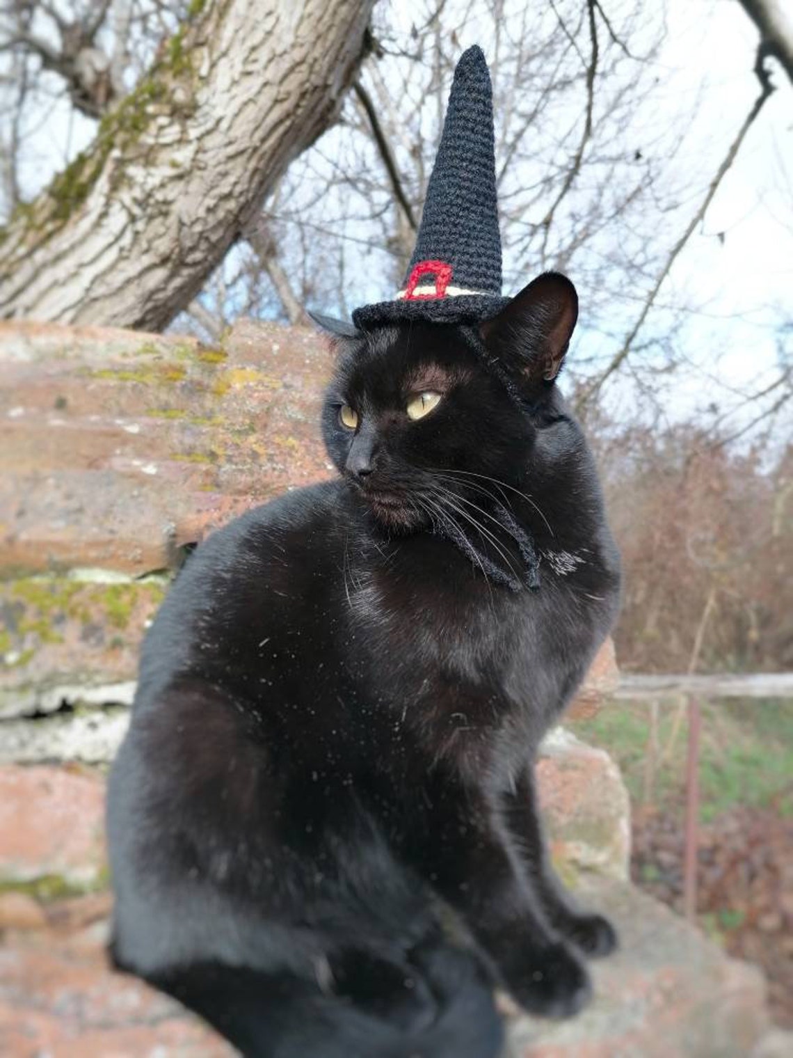 Witch Hat Witch Cat Cat Accessories Kitten Hat Pet | Etsy