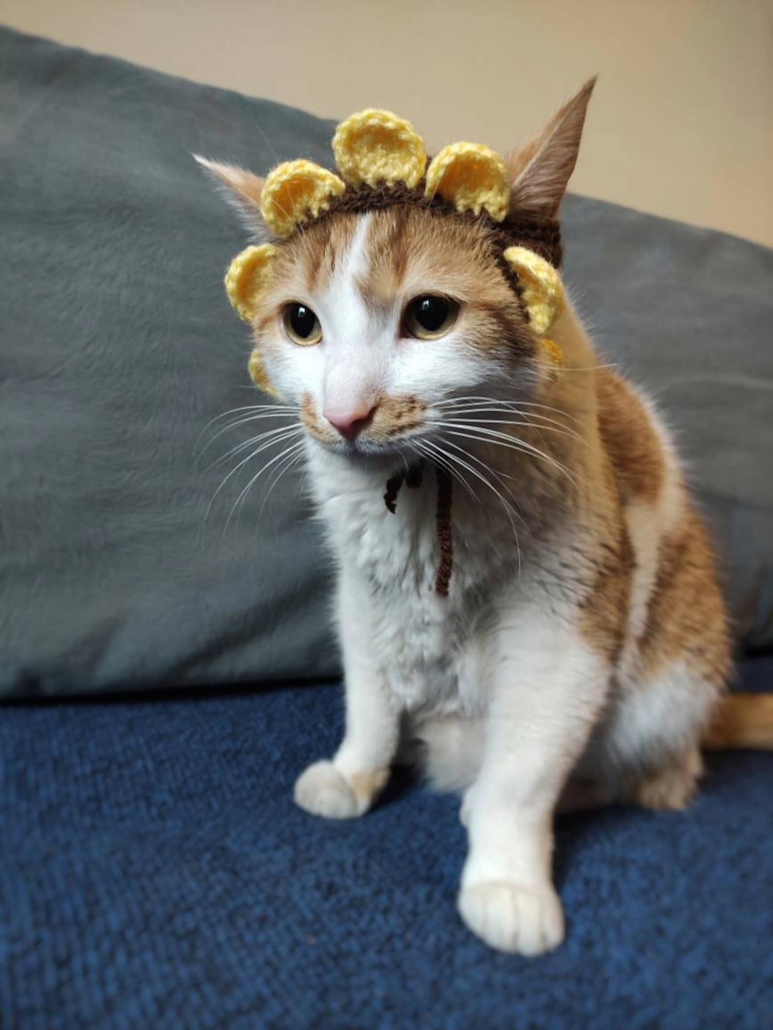 Sunflower Cat Hat Sunflower Hat Cat Outfit Cat Hat Hat for | Etsy