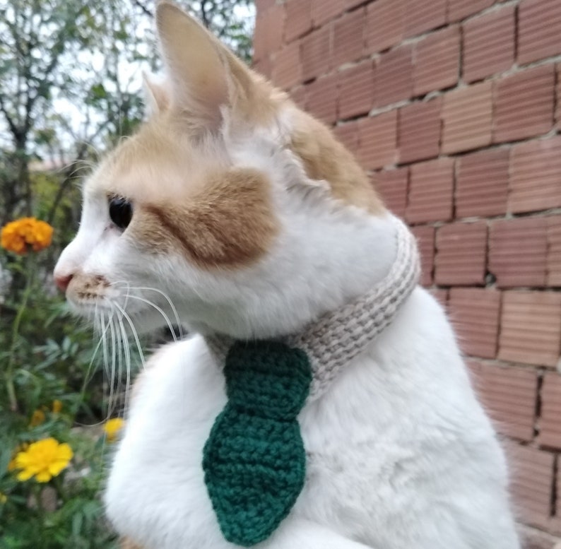 Scarf for Cat Kitten Accessories Cat Scarf Kitten - Etsy