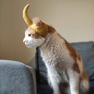 Helmet for Cat Cat Hat Cat Helmet Pet Costume Pet Costume - Etsy