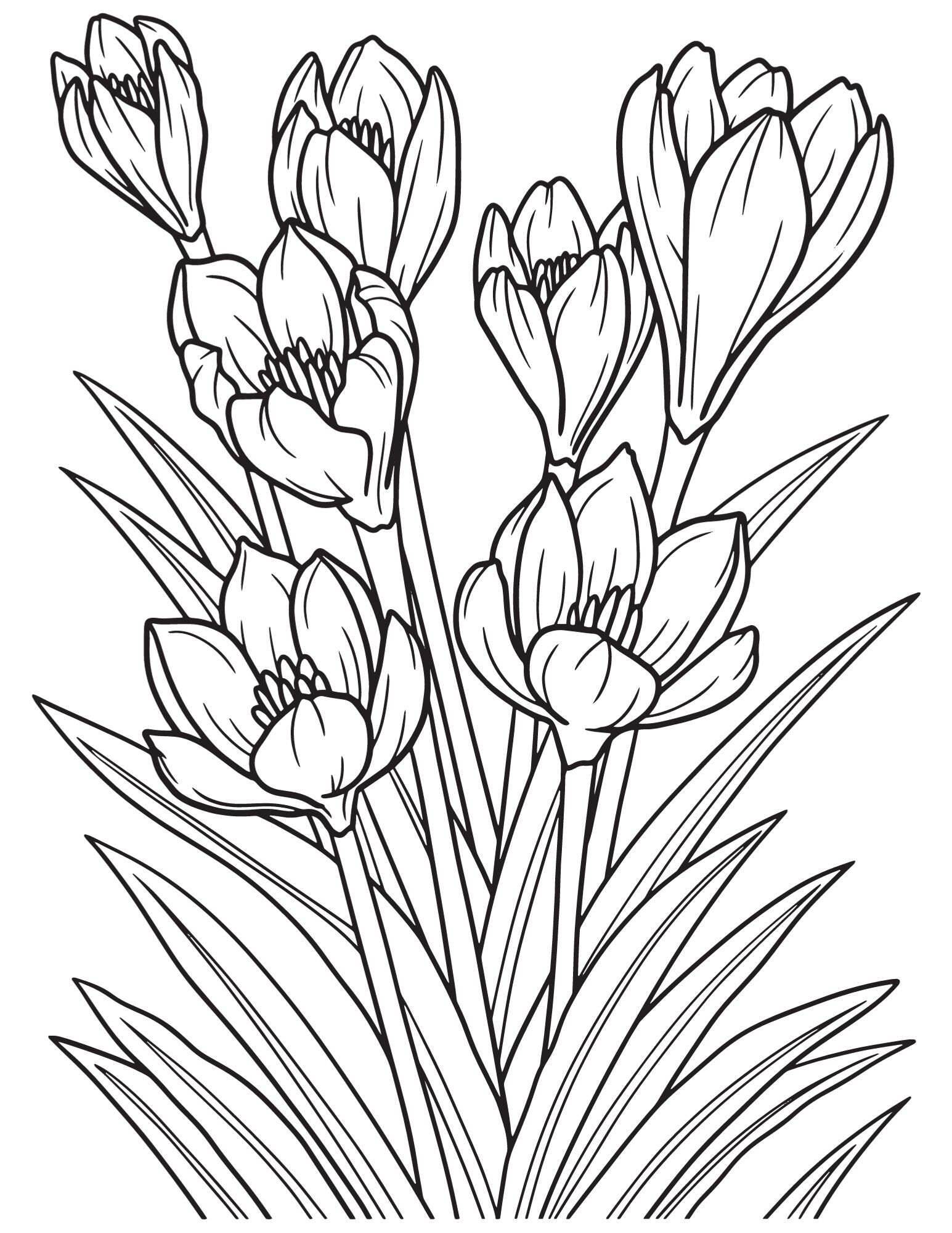 Coloring Book of Flowers - Etsy