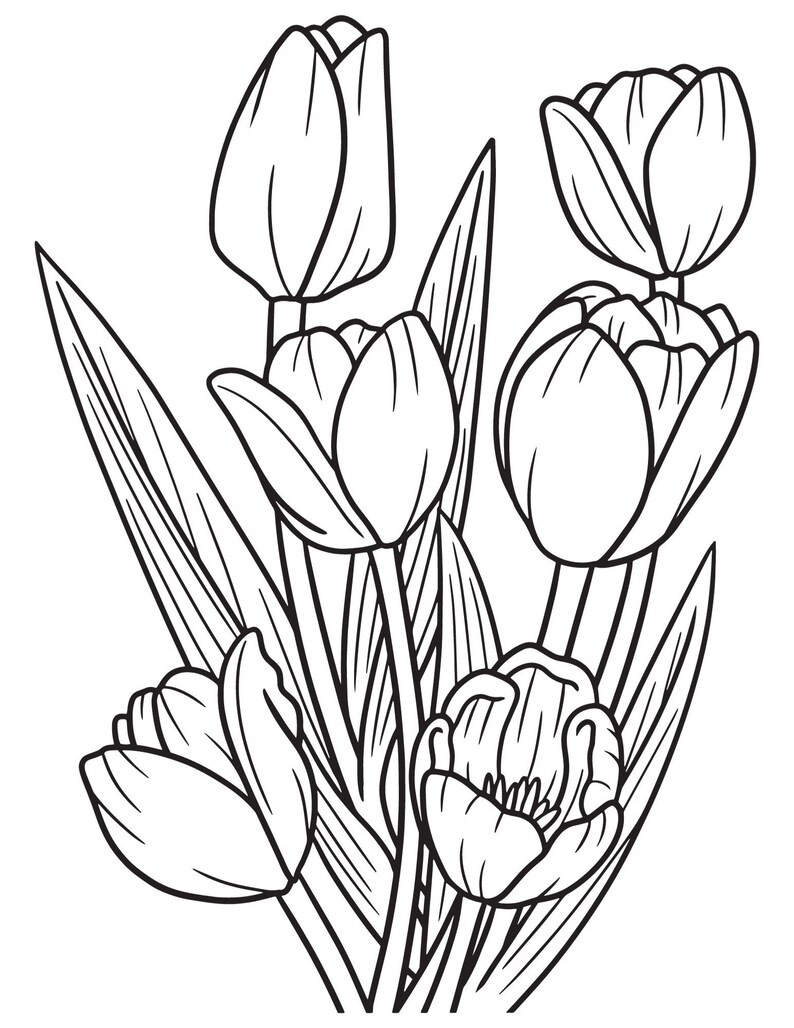 Coloring Book of Flowers - Etsy