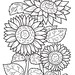 Coloring Book of Flowers - Etsy