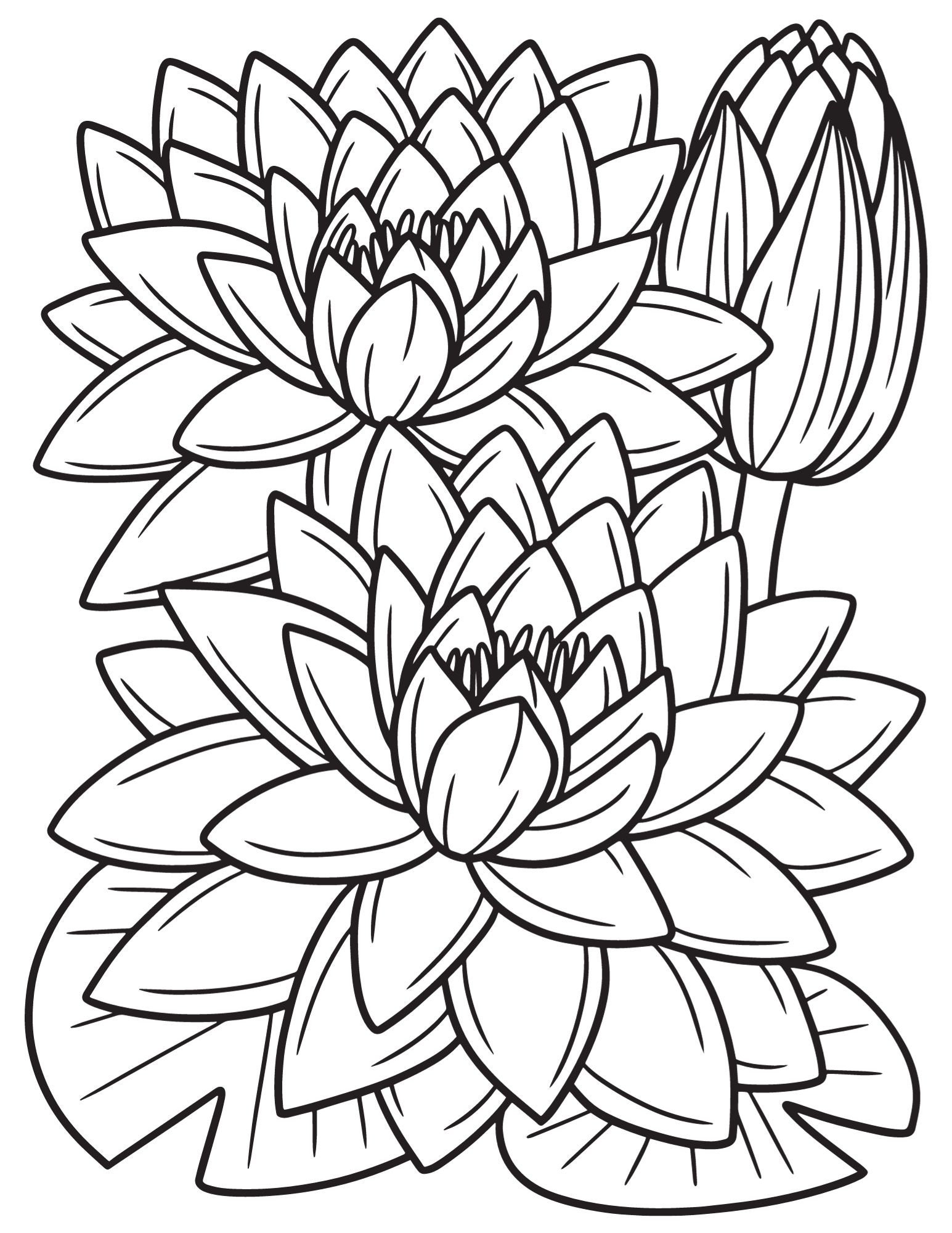 Coloring Book of Flowers - Etsy