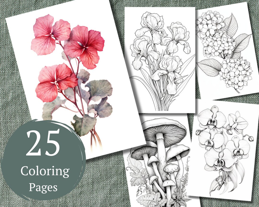 25 Floral Botanical Coloring Book Pages, Instant PDF Download - for ...