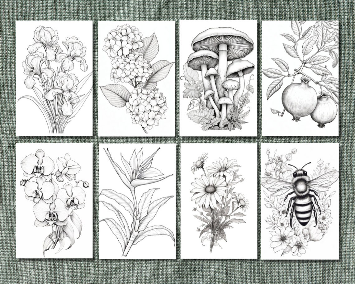 25 Floral Botanical Coloring Book Pages, Instant PDF Download - for ...