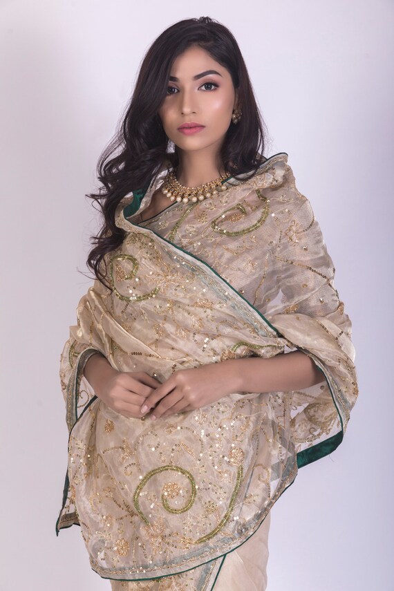 Indian Tissue Saree - Etsy