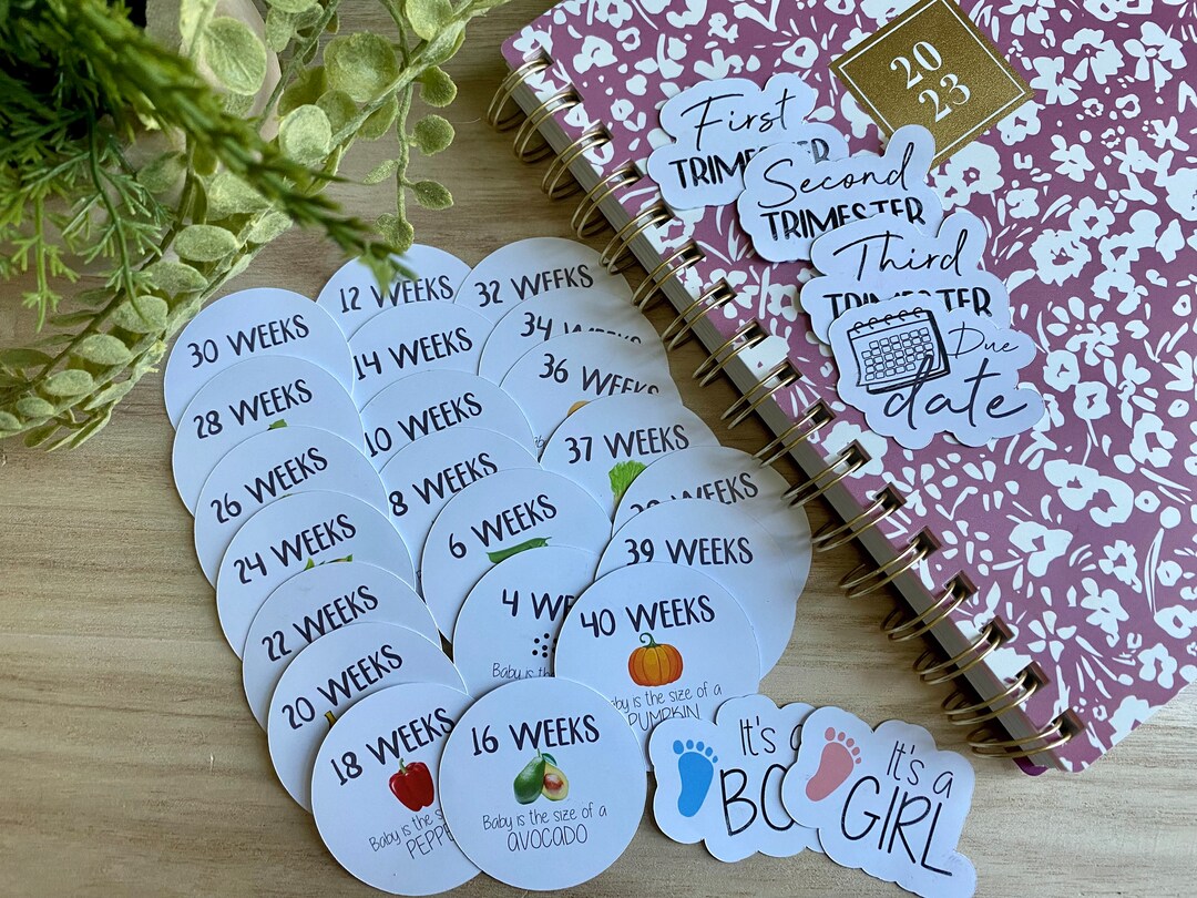 Week by Week Fruit Baby Size Pregnancy Stickers Pregnancy Journey ...