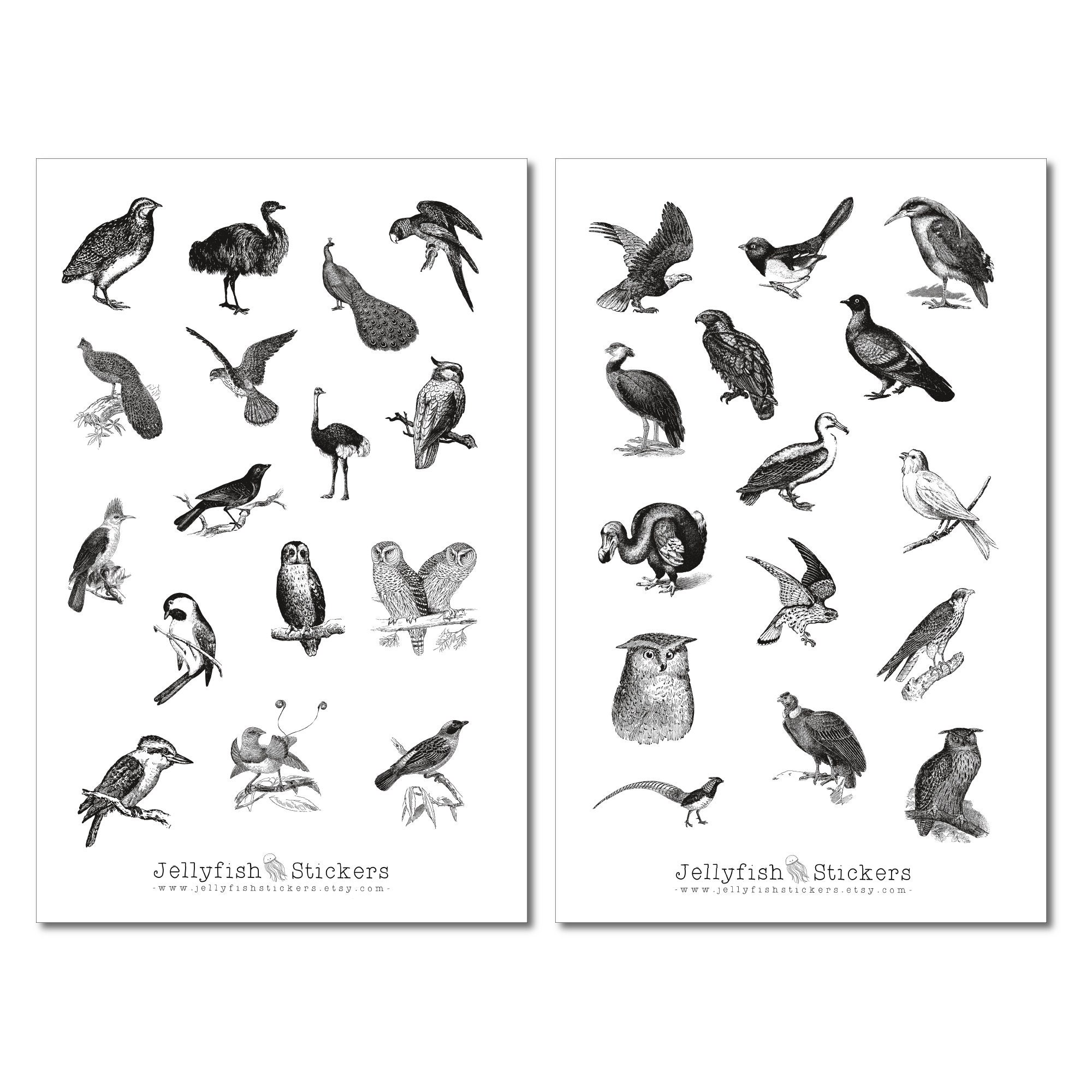 Vintage Birds Sticker Set Stickers Animals Journal Sticker - Etsy