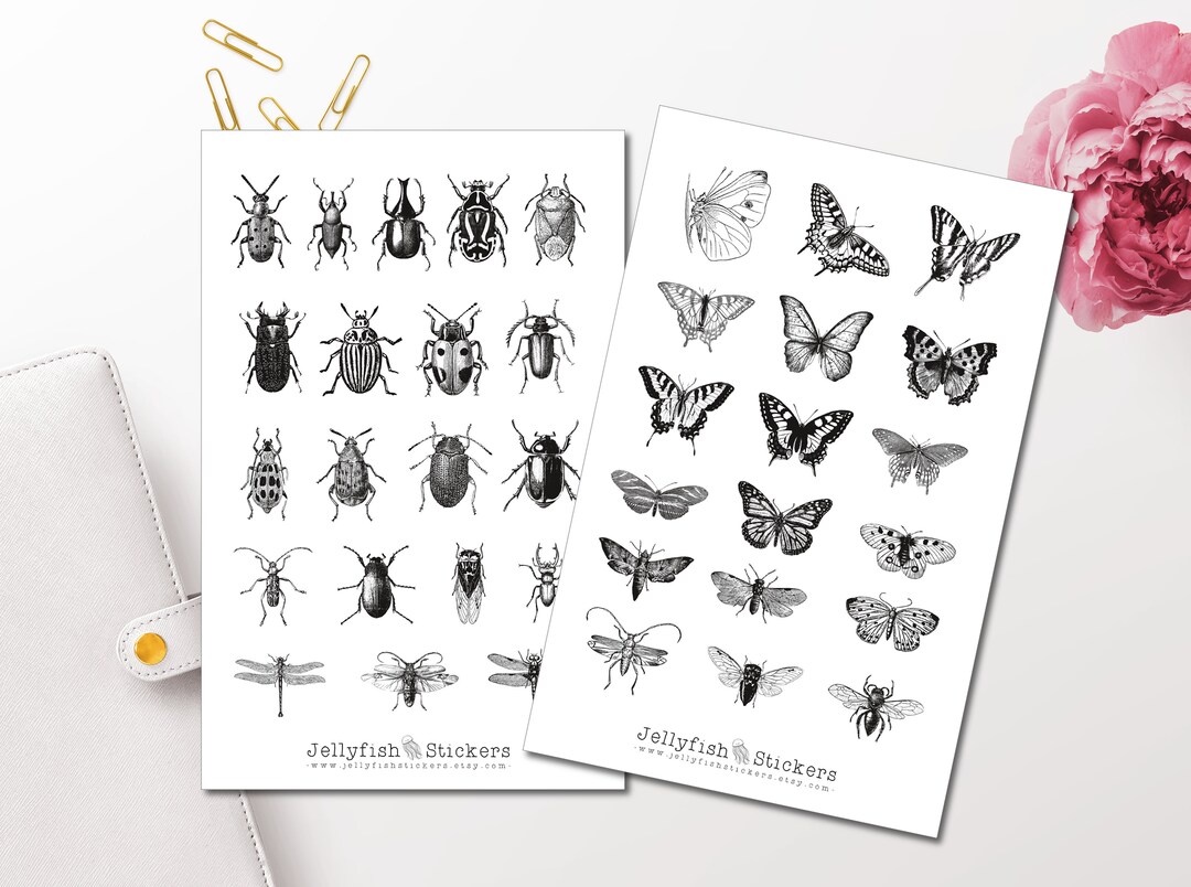 Vintage Insect Sticker Set Sticker Black and White Journal - Etsy