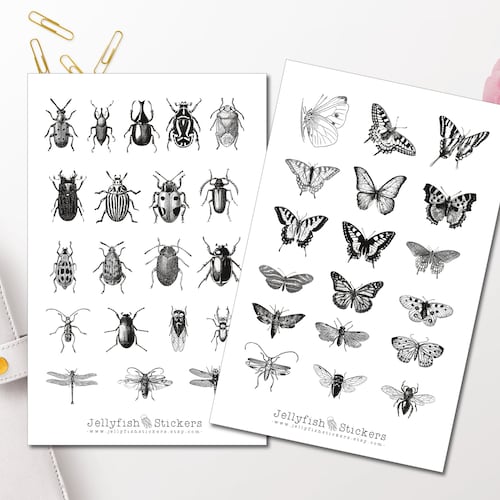 Vintage Insect Sticker Set Sticker Black and White Journal - Etsy