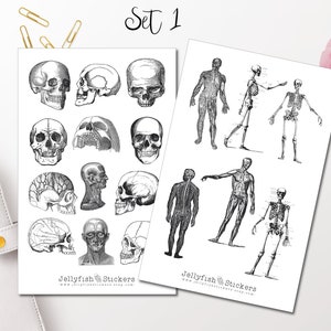Vintage Anatomy Sticker Set Body Stickers, Journal Stickers, Bone ...