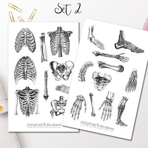 Vintage Anatomy Sticker Set Body Stickers, Journal Stickers, Bone ...