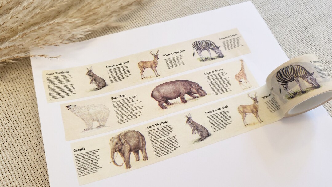 Design Washi Tape Encyclopedia - Animals, Text, Font, Rabbit, Hippo ...
