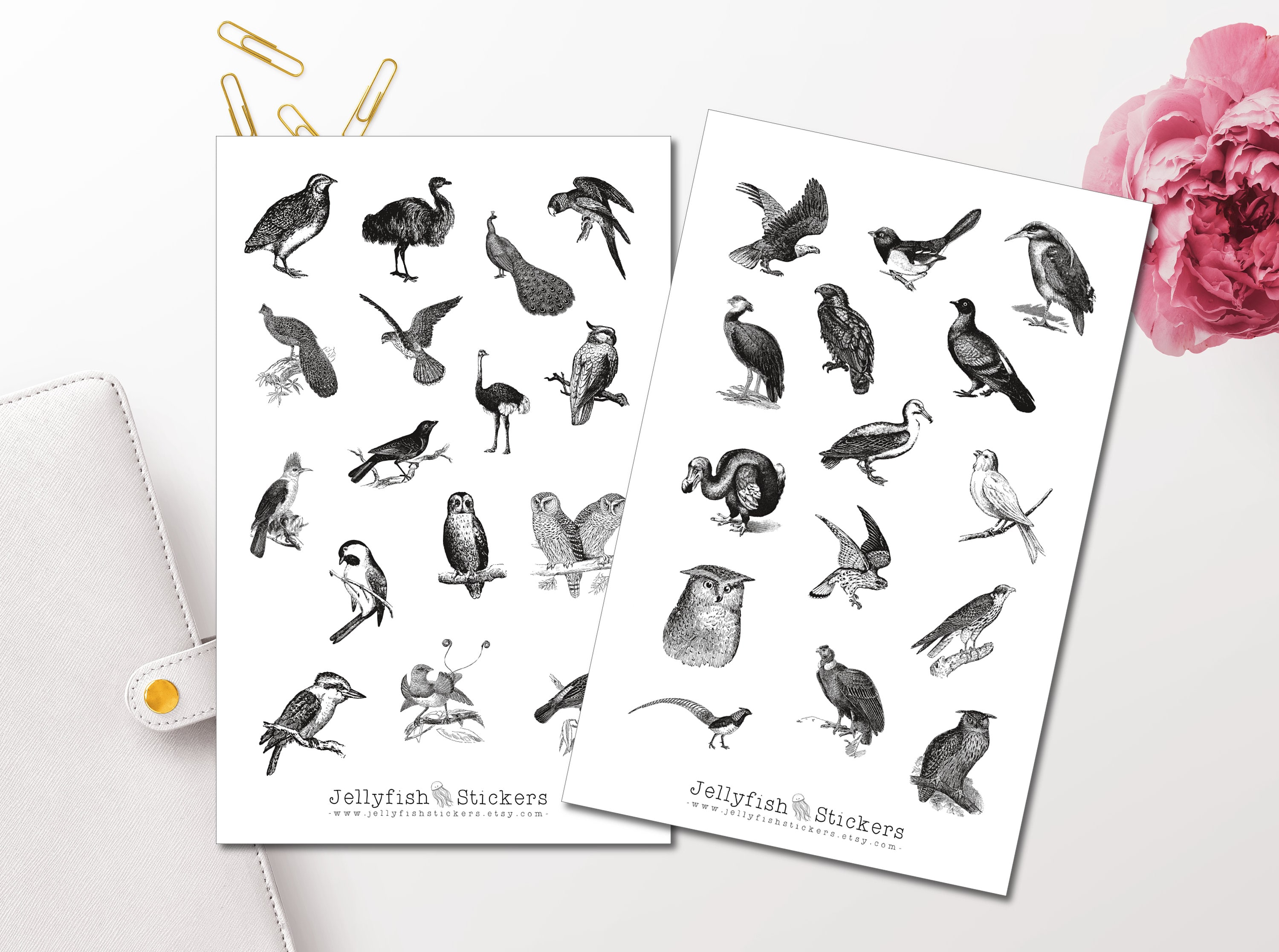 Vintage Birds Sticker Set Stickers Animals Journal Sticker - Etsy